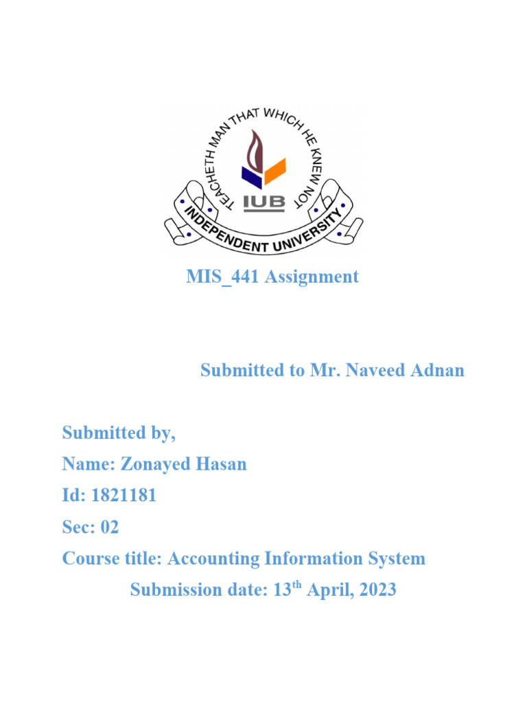 MIS - 441 Report | PDF