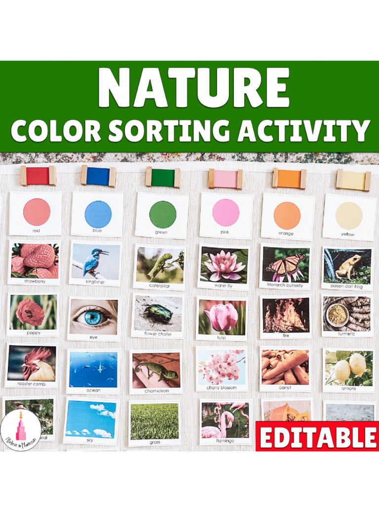 Nature Color Sorting Activity | PDF | Digital Millennium Copyright Act