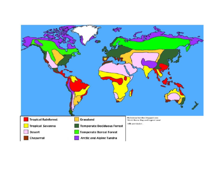 Biomas Del Mundo A Color 5 | PDF
