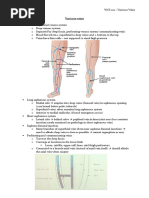 Lower Extremity Venous Protocol 14 | PDF | Medical Ultrasound | Vein