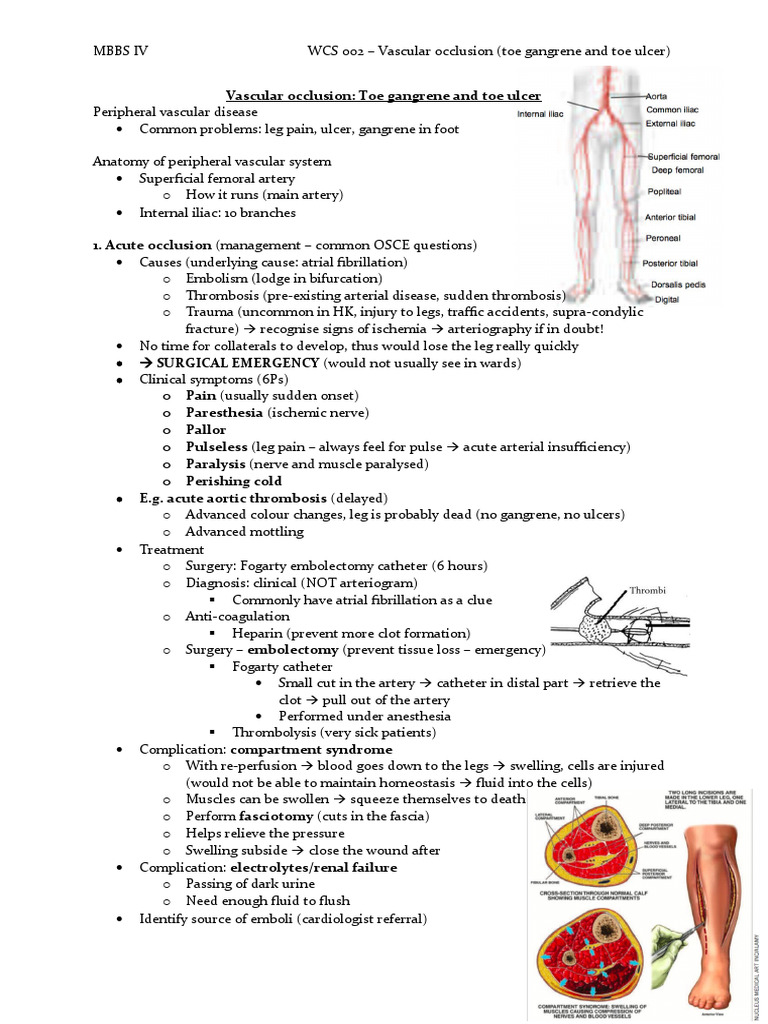 Vascular Occlusion (Toe Gangrene and Toe Ulcers) | PDF