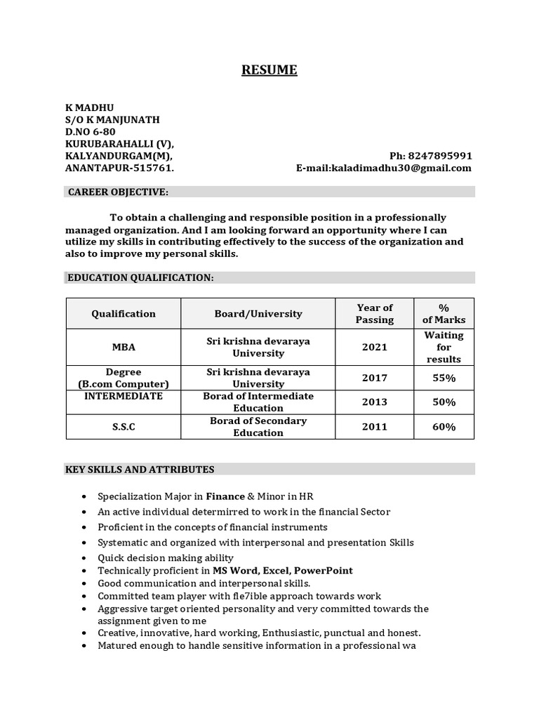 Madhu Resume12 1 | PDF | Career & Growth