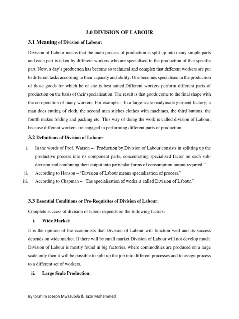 Division of Labour | PDF