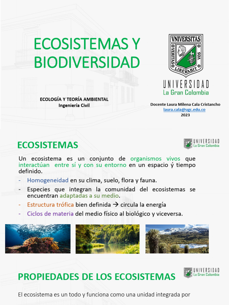 7. Ecosistemas y biodiversidad | PDF | Ecosistema | Biodiversidad