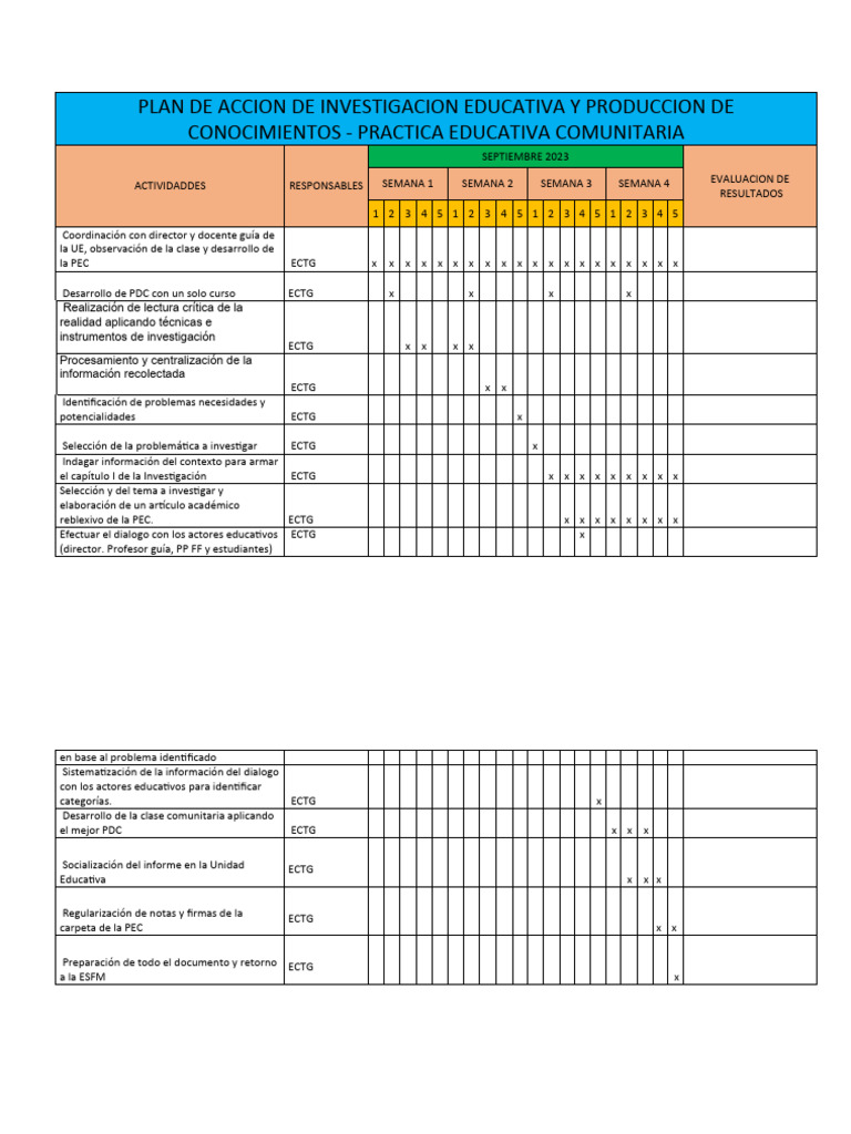 PLAN DE ACCION PEC 3° AÑO | PDF | Aprendizaje | Cognición