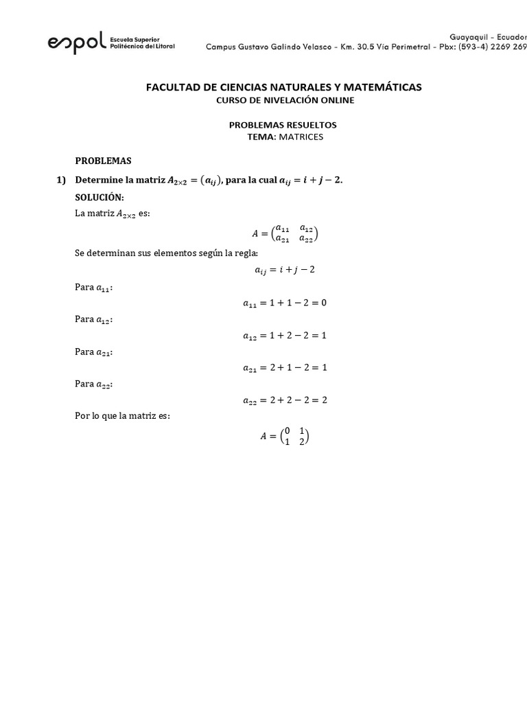 Capítulo 6 Problemas Resueltos de Matrices | PDF | Matriz (Matemáticas ...