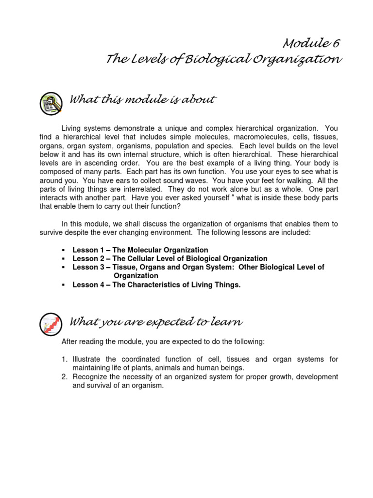 Biological Organization Levels Explained | PDF | Tissue (Biology ...