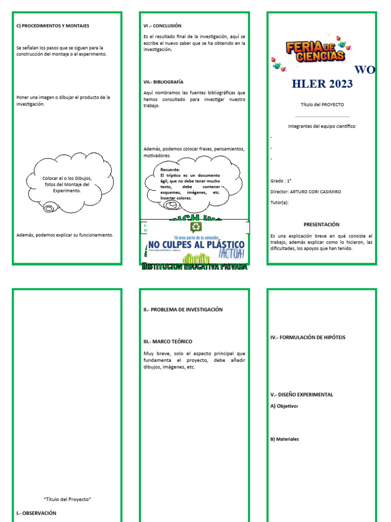 Formato Triptico 2023 (1) | PDF | Science | Cognición