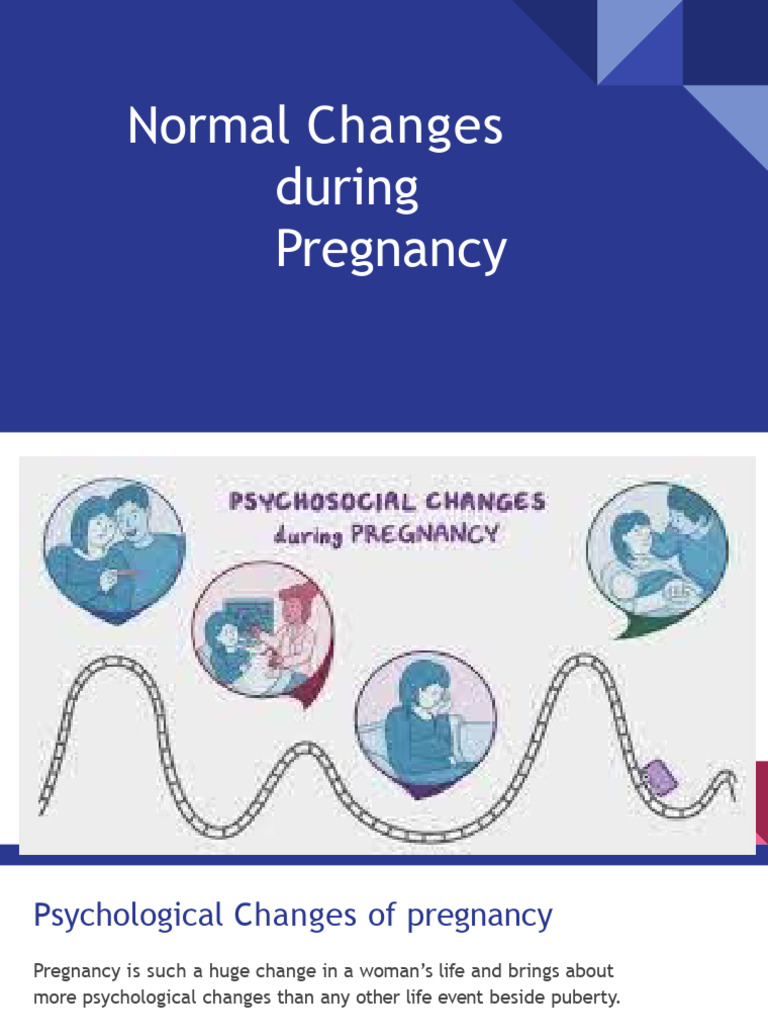Understanding Pregnancy Changes | PDF