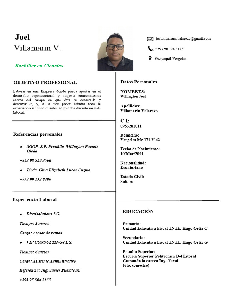 Curriculum JOEL VILLAMARIN | PDF