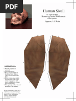 Dummy 13 Instructions A4 | PDF | Musculoskeletal System