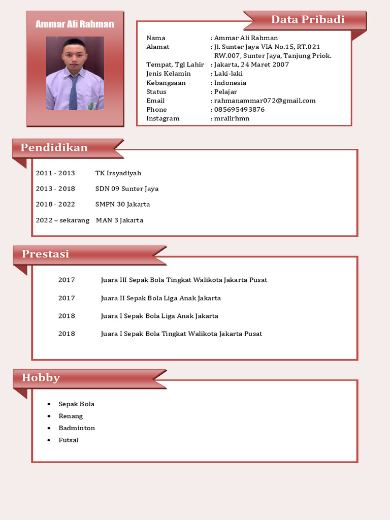 CV Ammar Ali Rahman | PDF