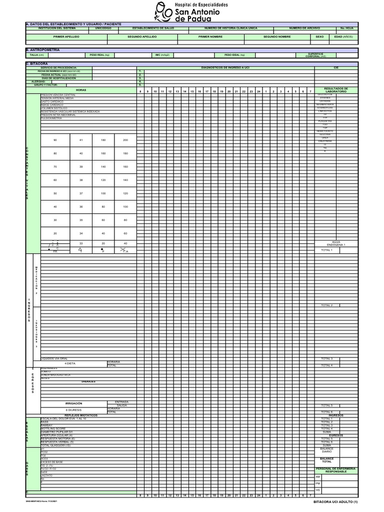113 Bitacora Uci Adulto 2021 | PDF