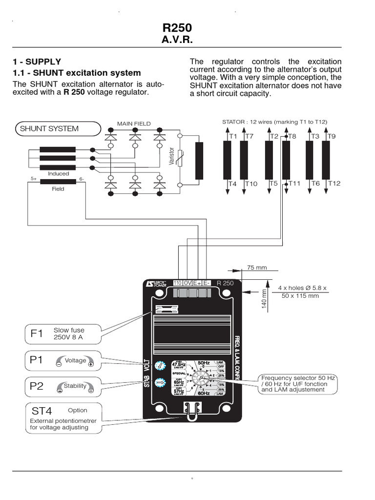 R250 A.V.R. Shunt Excitation Overview | PDF