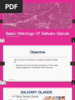 Serous Vs Mucous Salivary Glands | PDF