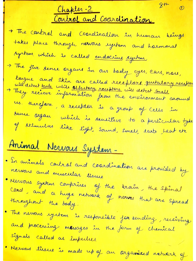Biology Class 10th Notes Control and Coordination | PDF