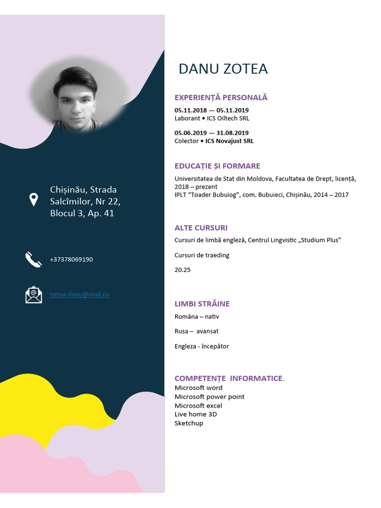 Cv-Ul Zotea Danu | PDF