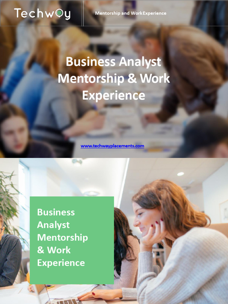 Aspiring Business Analysts Program | PDF