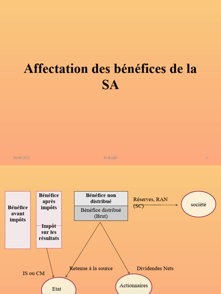 Affectation Des Bénéfices de La SA | PDF