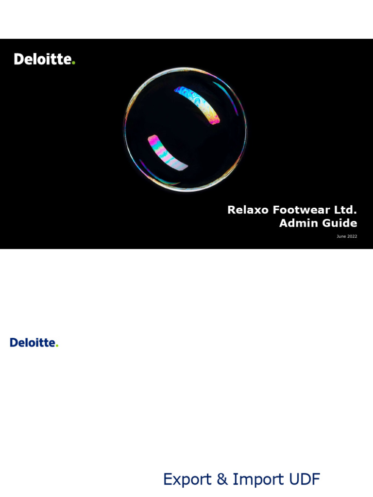 Guide For Importing and Exporting UDF - Relaxo | PDF