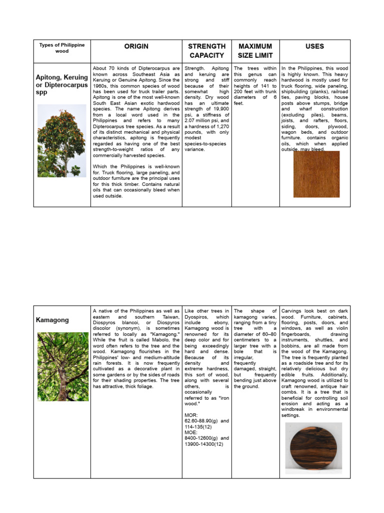 Types of Philippine Wood | PDF | Wood | Trees