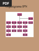 Organigrama Grupo Lala | PDF