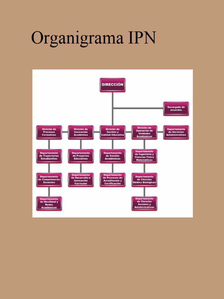 Organigrama Ipn | PDF