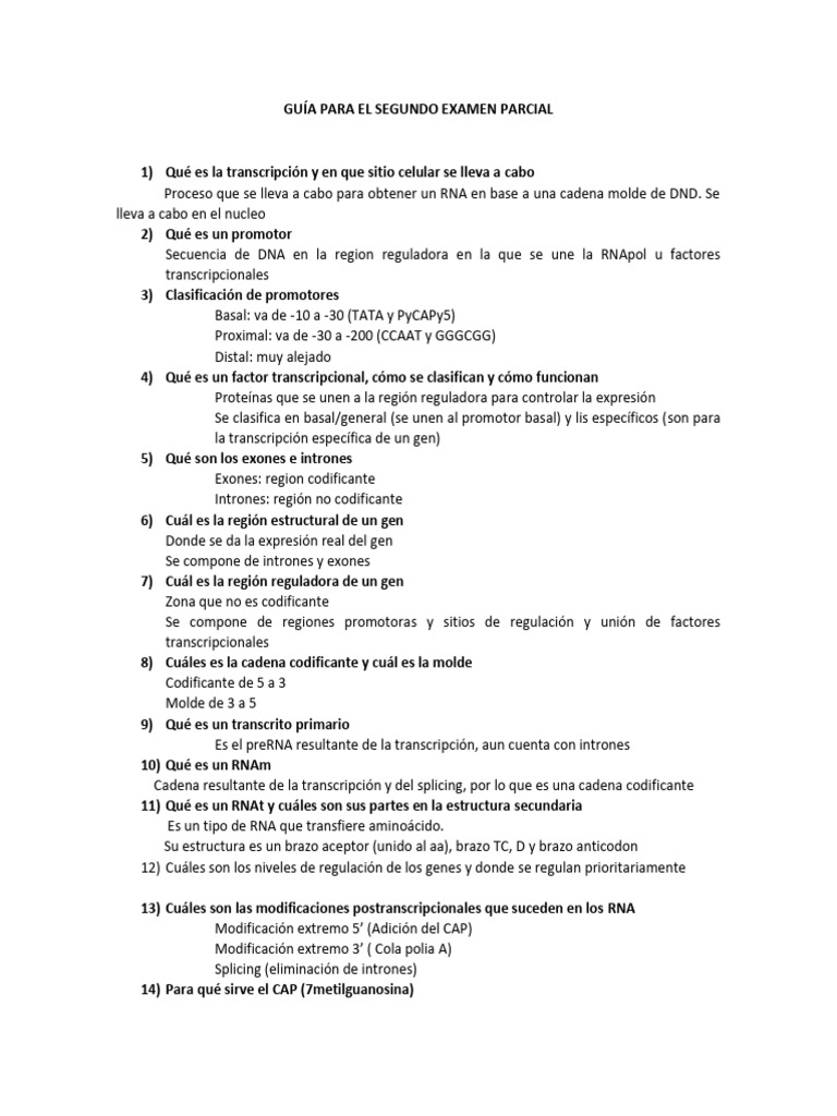 Guía para El Segundo Examen Parcial 2022a | PDF | Informática