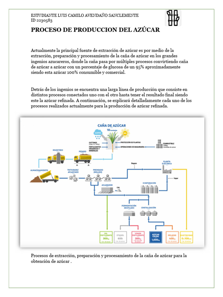 Proceso de Fabricación de Azúcar | Descargar gratis PDF | Melaza | Azúcar