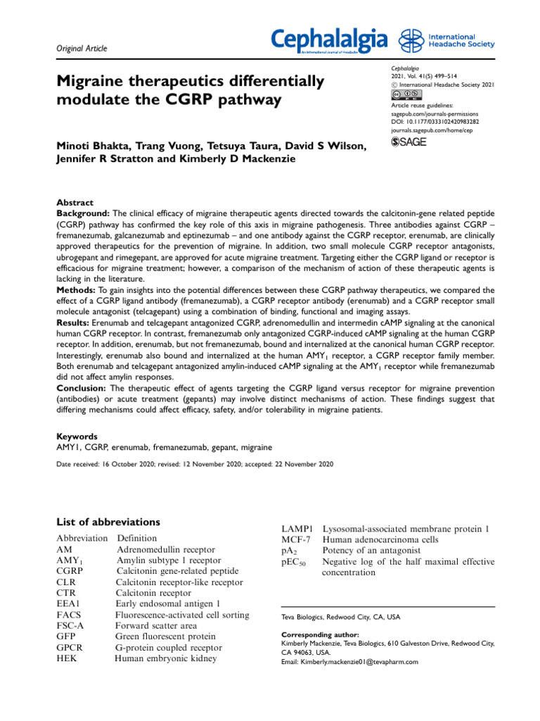 Migraine Therapeutics Differentially Modulate The CGRP Pathway | PDF