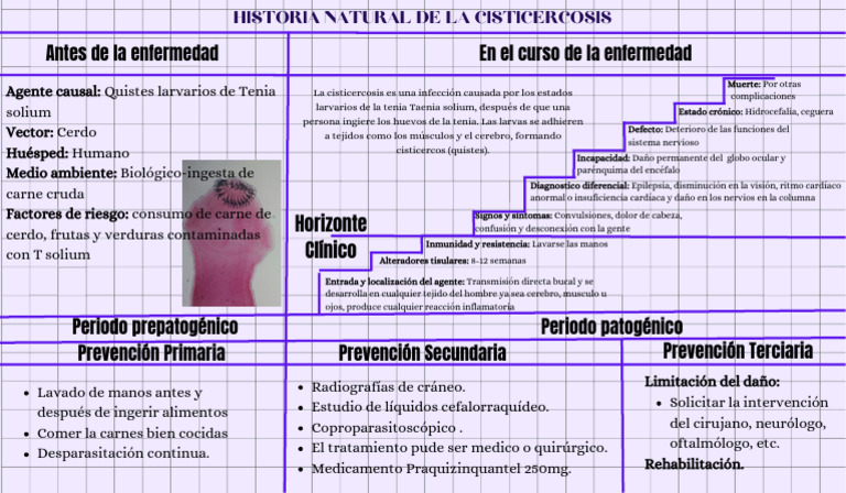 Historia Natural Cisticercosis Pdf