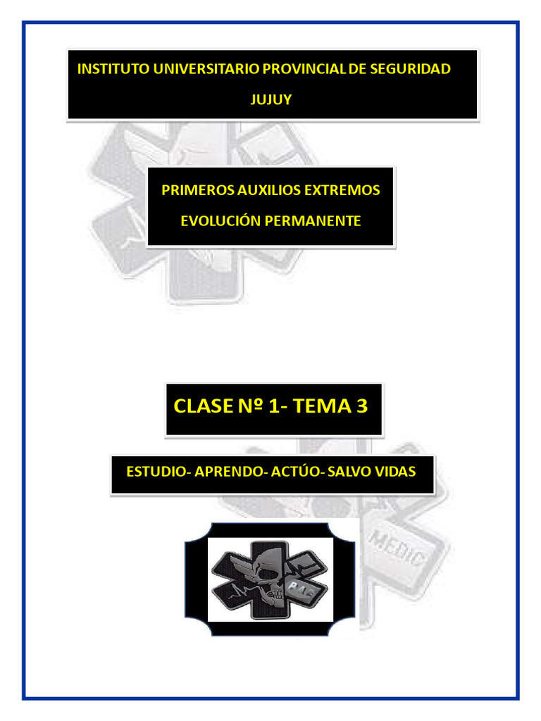 Clases 1 y 2 Sargentos 2021 | PDF