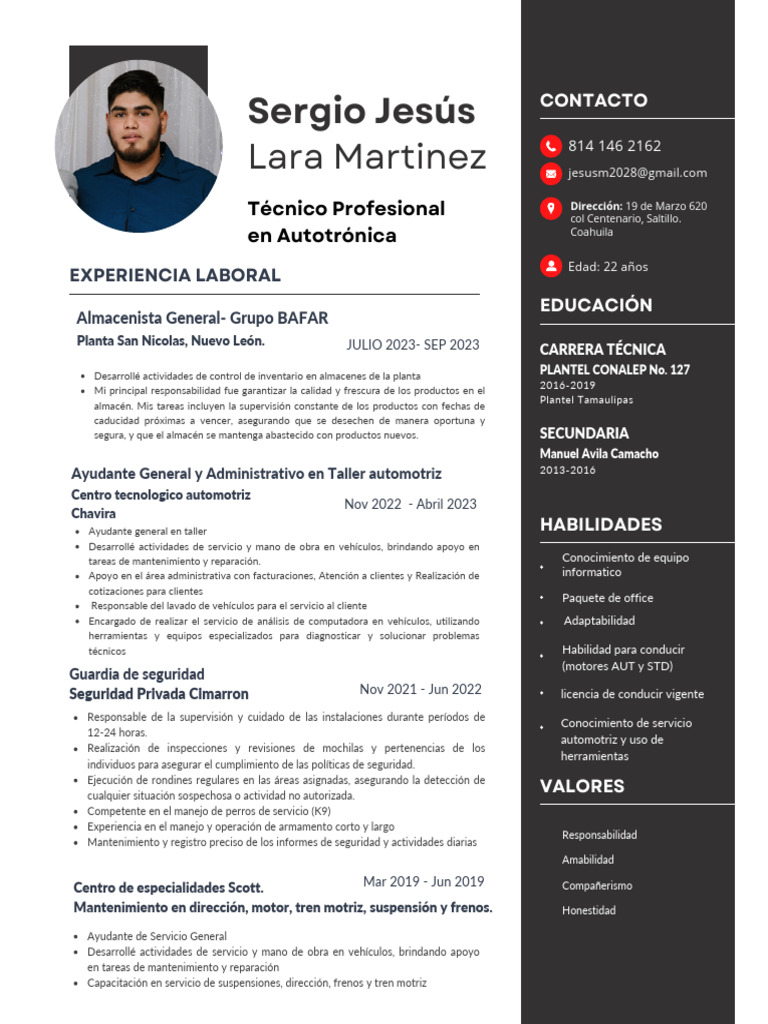 CV Sergio Actualizado | PDF