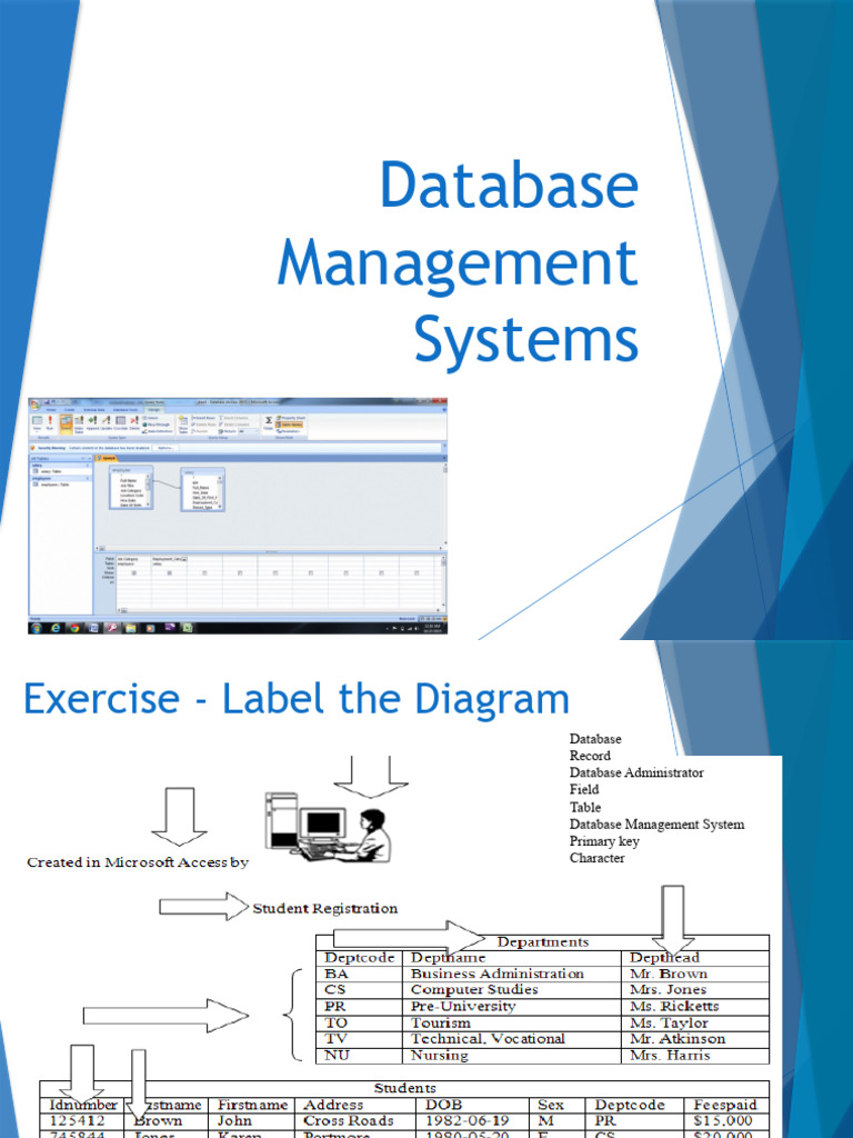 Database Management Systems | PDF | Databases | Software Engineering Database Management Systems | PDF | Databases | Software Engineering