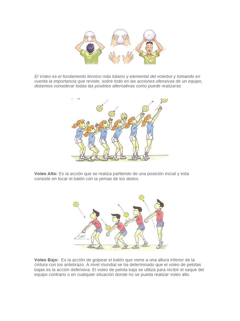 Fundamentos del Voleo en Voleibol | PDF