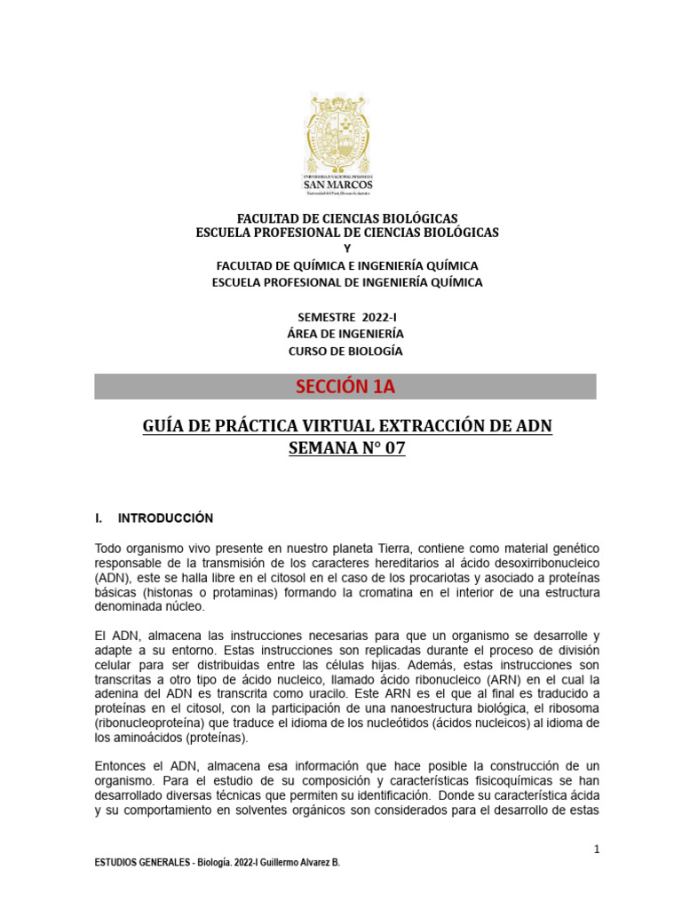 Informe SEM. 7 | PDF