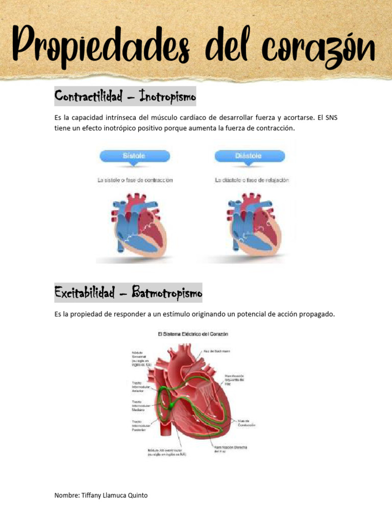 Excitabilidad Cardíaca y Funciones del Corazón | PDF | Arte