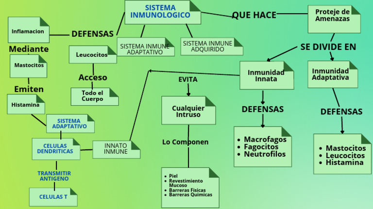 Mapa Conceptual Sistema Inmunologico | PDF