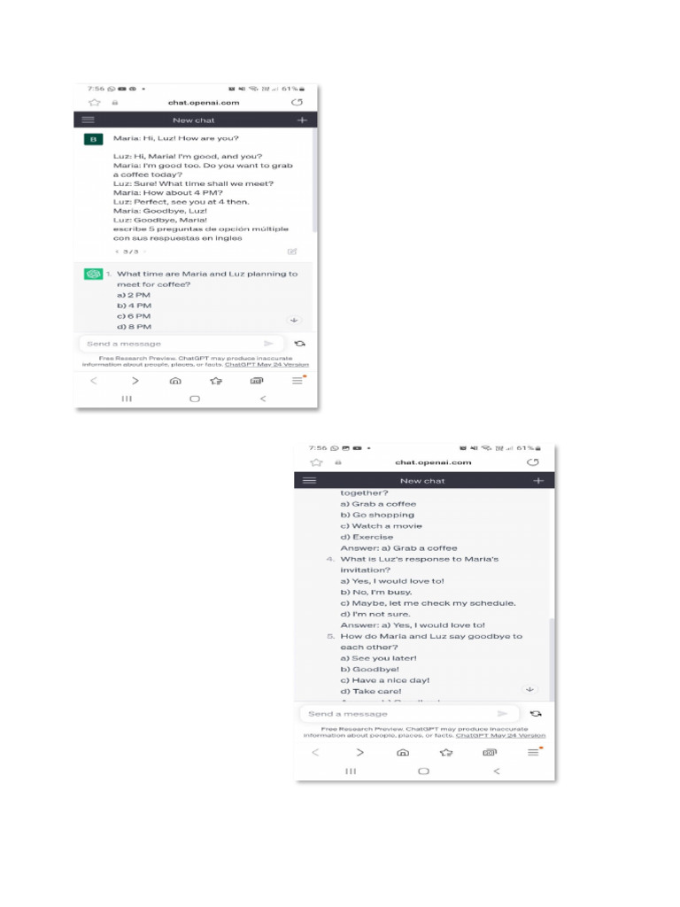 Chat GTP Captura | PDF