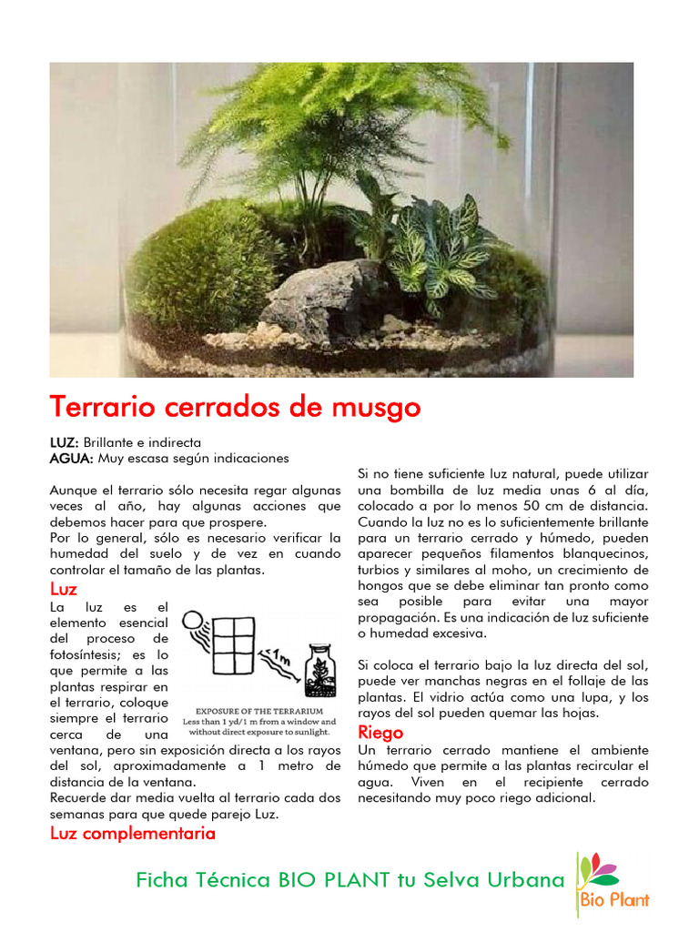 Ficha Terrario Cerrado | PDF