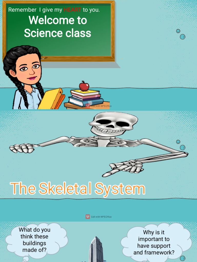The Skeletal System - PPTX G 6 | PDF | Skeleton | Musculoskeletal System