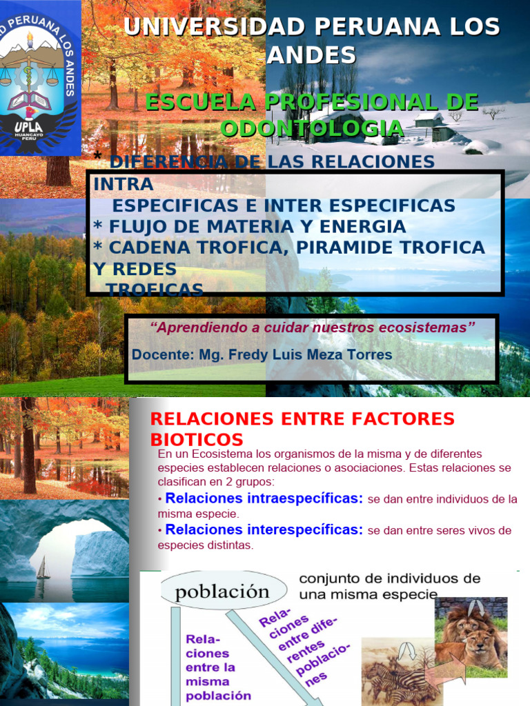 Relaciones Intra e Inter Especificas | PDF | Red alimentaria | Ecología