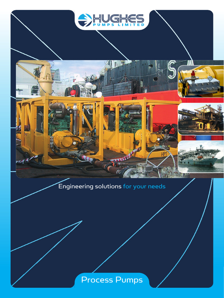 Process Pumps Brochure | PDF