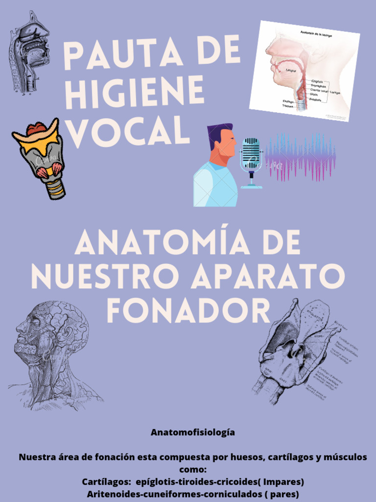 Pautas para Cuidar la Higiene Vocal | PDF | Salud y bienestar | Estilo de vida