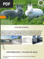 Sistema de Producción de Leche en Granjas Bovinas Familiares | PDF | Vacas | Leche