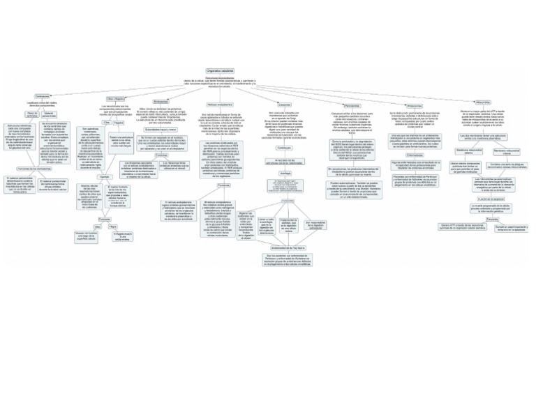Mapa Organelos Celulares | PDF
