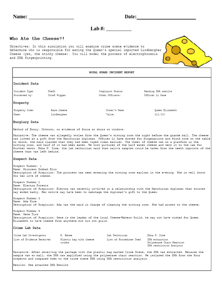 Who Ate The Cheese Lab | Download Free PDF | Dna | Crime Scene