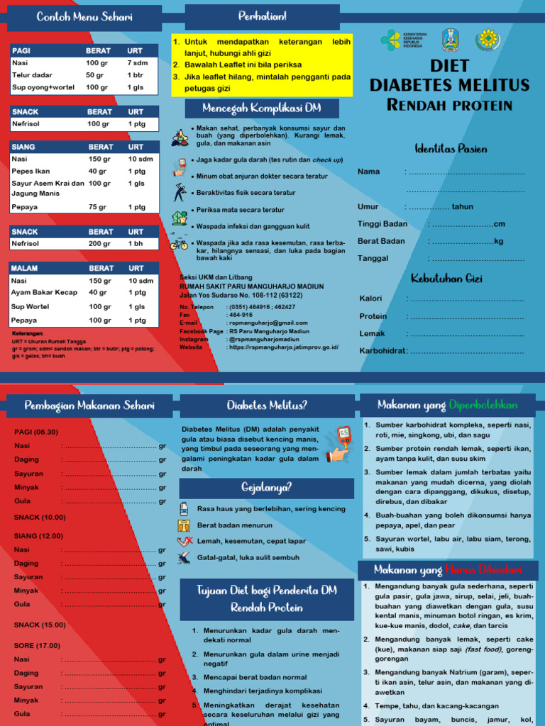 Leaflet Diet DM Rendah Protein | PDF