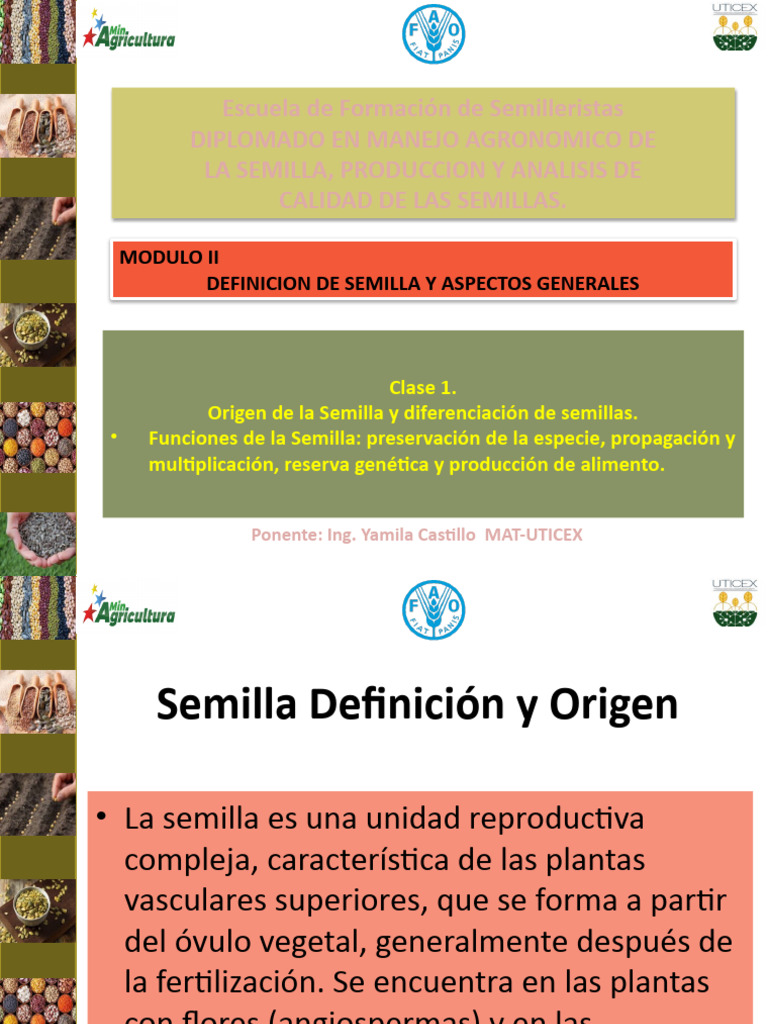 5 Generalidades de La Semilla | PDF