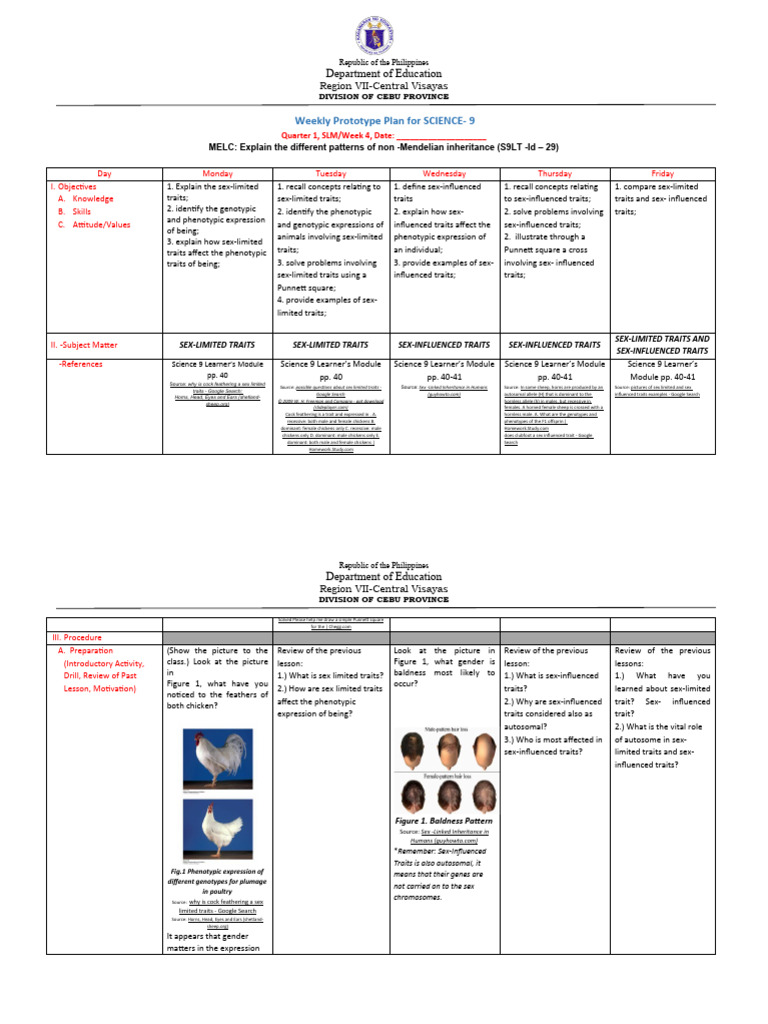 Gr.9 Weekly Prototype LP Science WK 4 | PDF